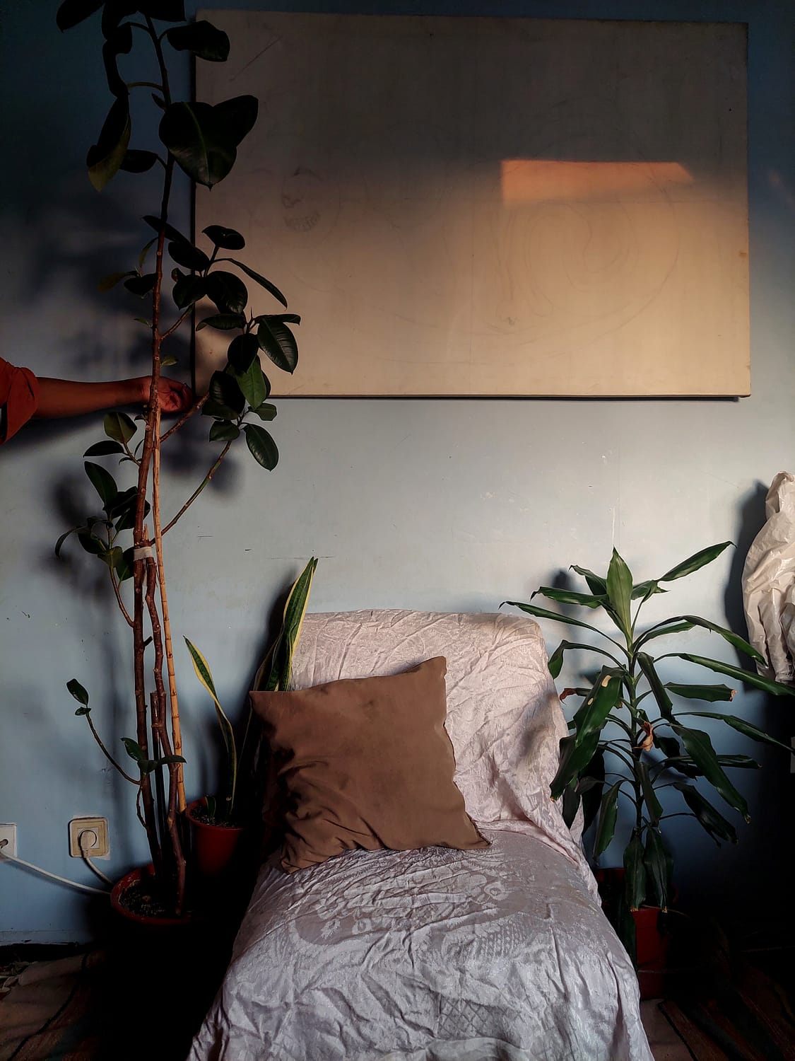 Photography Backdrops & Photo Sets – How To Diversify Your Space - The ...