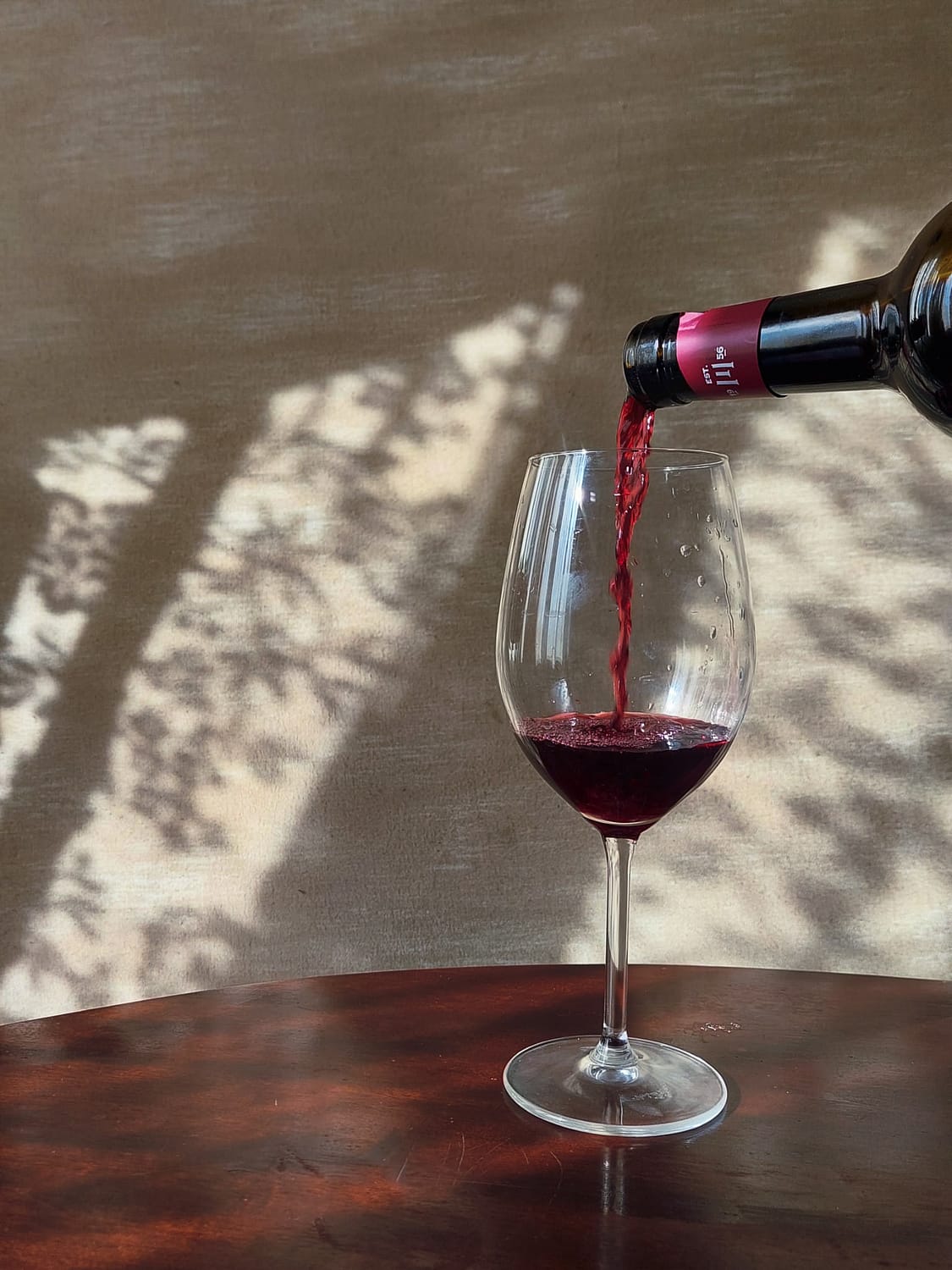 At home Photography – 6 Useful Tips For Fantastic Photos - The Princientist